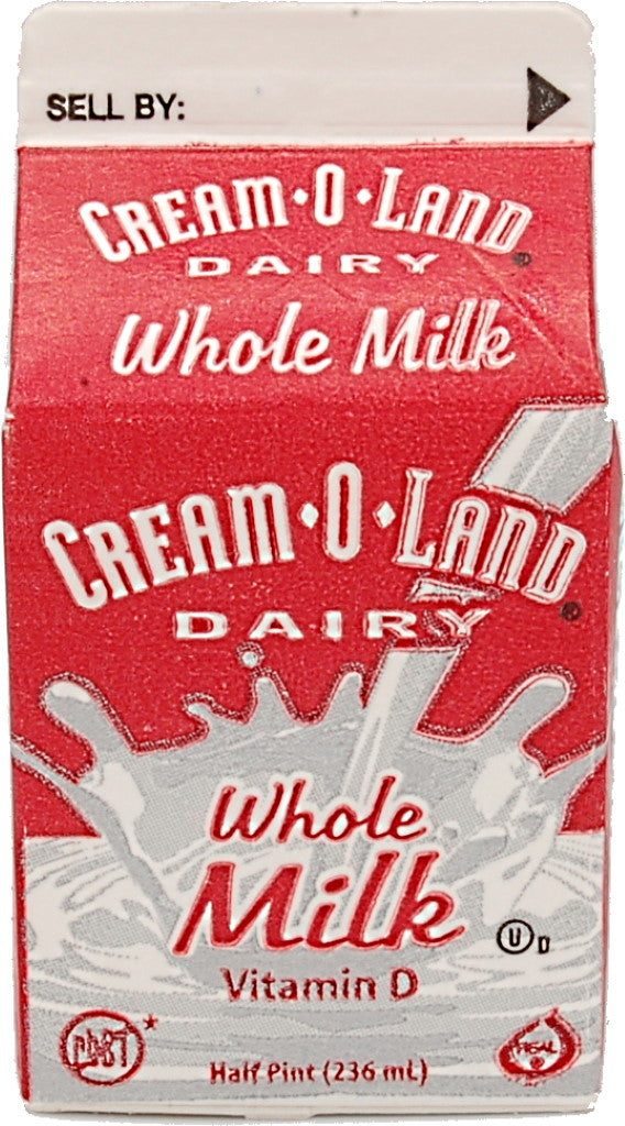 White Milk 8oz Carton – Tasty Options